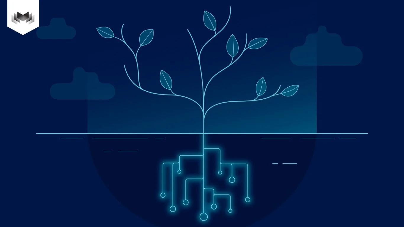 Random Forest Là Gì? Thuật Toán Học Máy ổn định Và Hiệu Quả